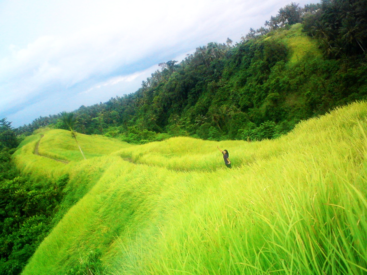 Campuhan Ridge Walk – Ubud 棱線步行 OK – NeverneverLand in Bali 你的忘憂地