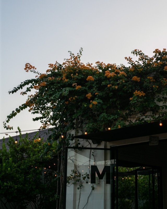 M. MASON. Bar | Grill Bali – Canggu/Uluwatu 12:00-24:00 地中海式 ...