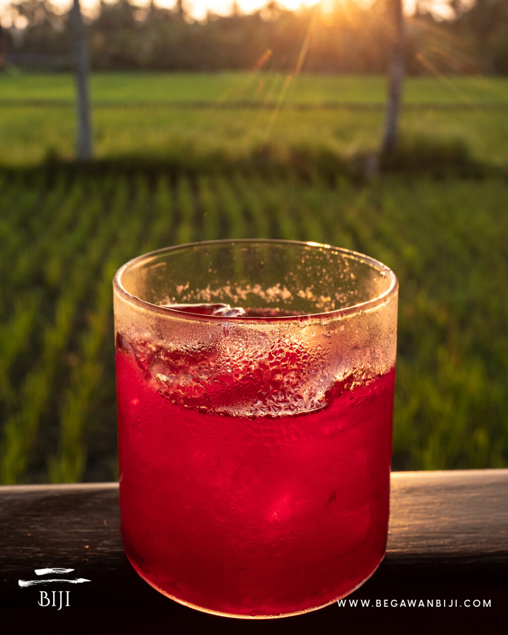 Begawan Biji Restaurant – Gianyar (11:30-22:00/Tue-Sun) 亞洲/印尼精緻菜 ...