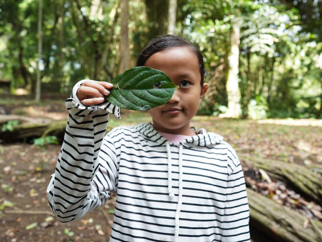 Begawan Biji Restaurant – Gianyar (11:30-22:00/Tue-Sun) 亞洲/印尼精緻菜 ...